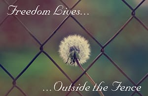 HOME - Dr Asa Heshoff