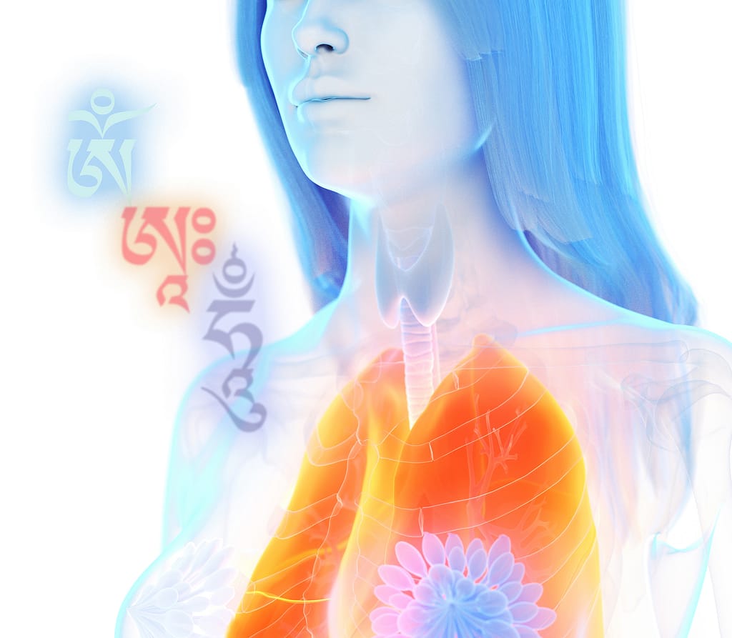 Light Body 10—Energy Sensitivity - School of Tibetan Healing Chod